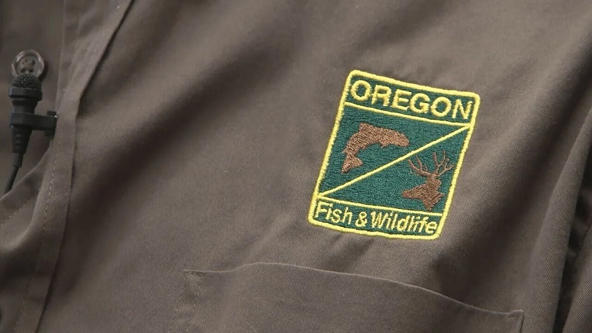Oregon Fish and Wildlife Commission Approves New Sea Urchin Regulations ...